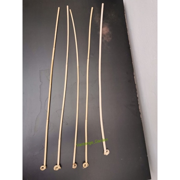 Rottan (5pcs)🔥ReadyStock🔥🔥🔥 | Shopee Malaysia