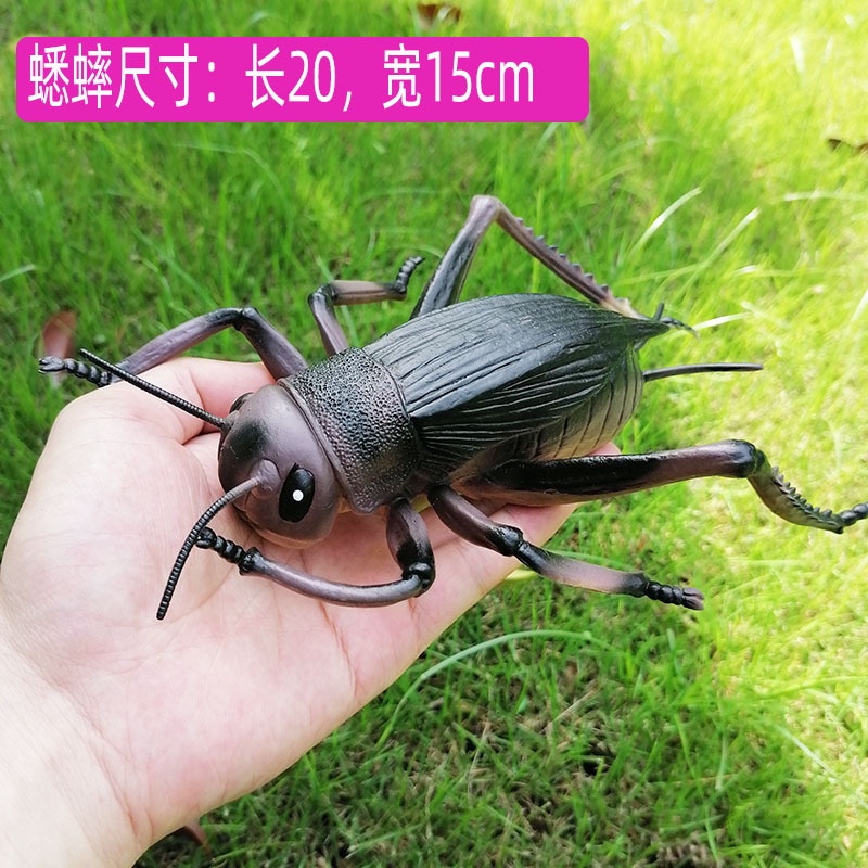 Extra Large Insect Model Serangga Mainan Besar Big Bugs Toys Early ...