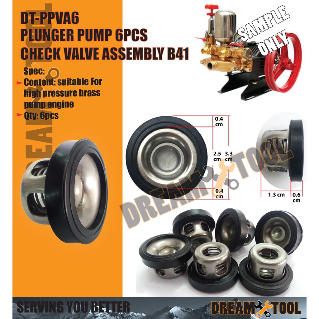*PLUNGER PUMP / PRESSURE PUMP* 6pcs Plunger Pump Check Valve Assembly # ...