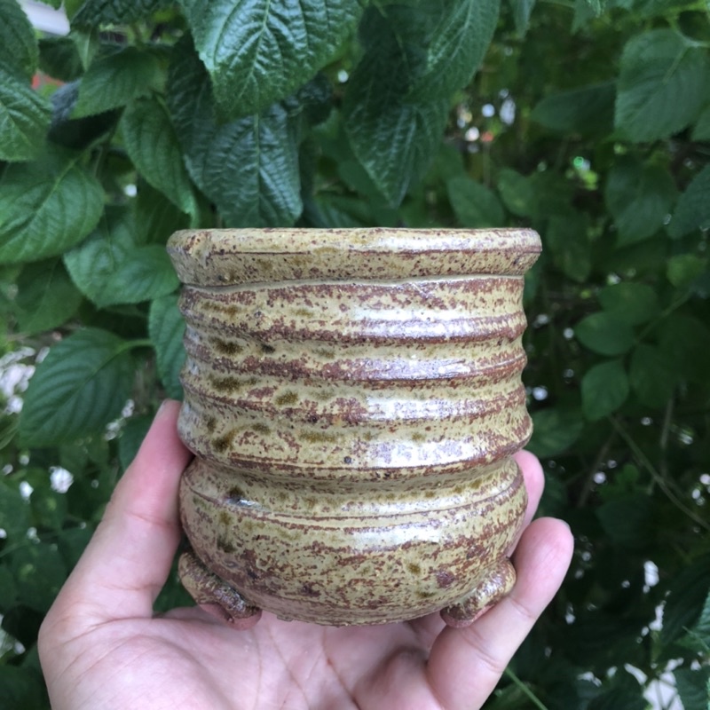 Pots made in Korea for growing succulents (random delivery) | Shopee ...