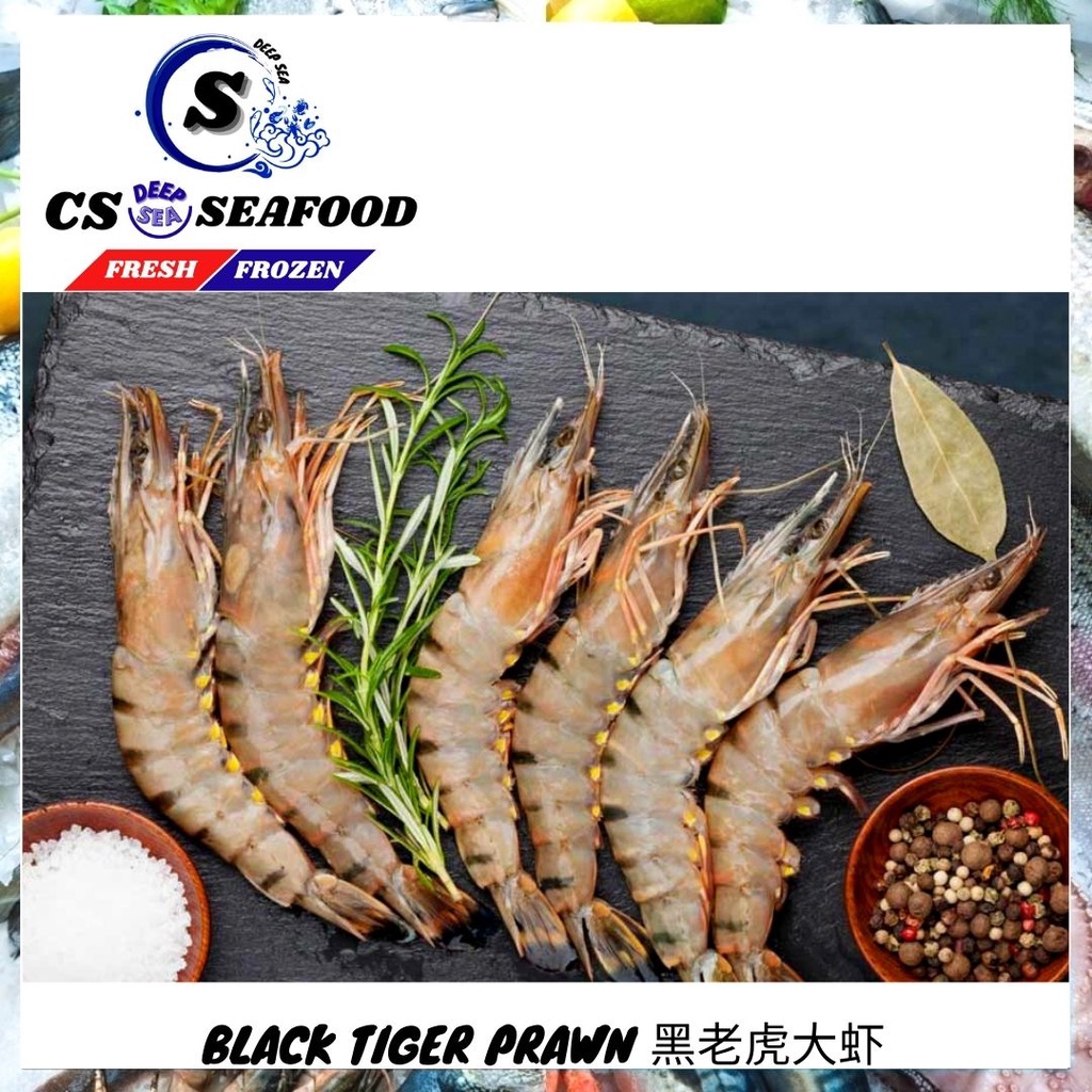 [CS Deepsea] Size L [26-30pcs] Udang Harimau Hitam | Black Tiger Prawn ...