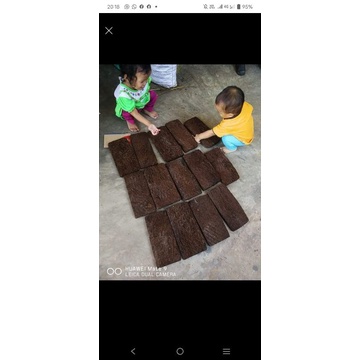 fernslab / papan kayu pakis 3-4"×11-12" inci sesuai tnm orkid&semua ...
