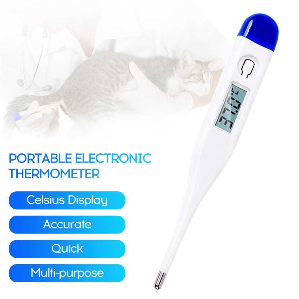 Portable Electronic Thermometer for Mouth Underarm Celsius Display ...