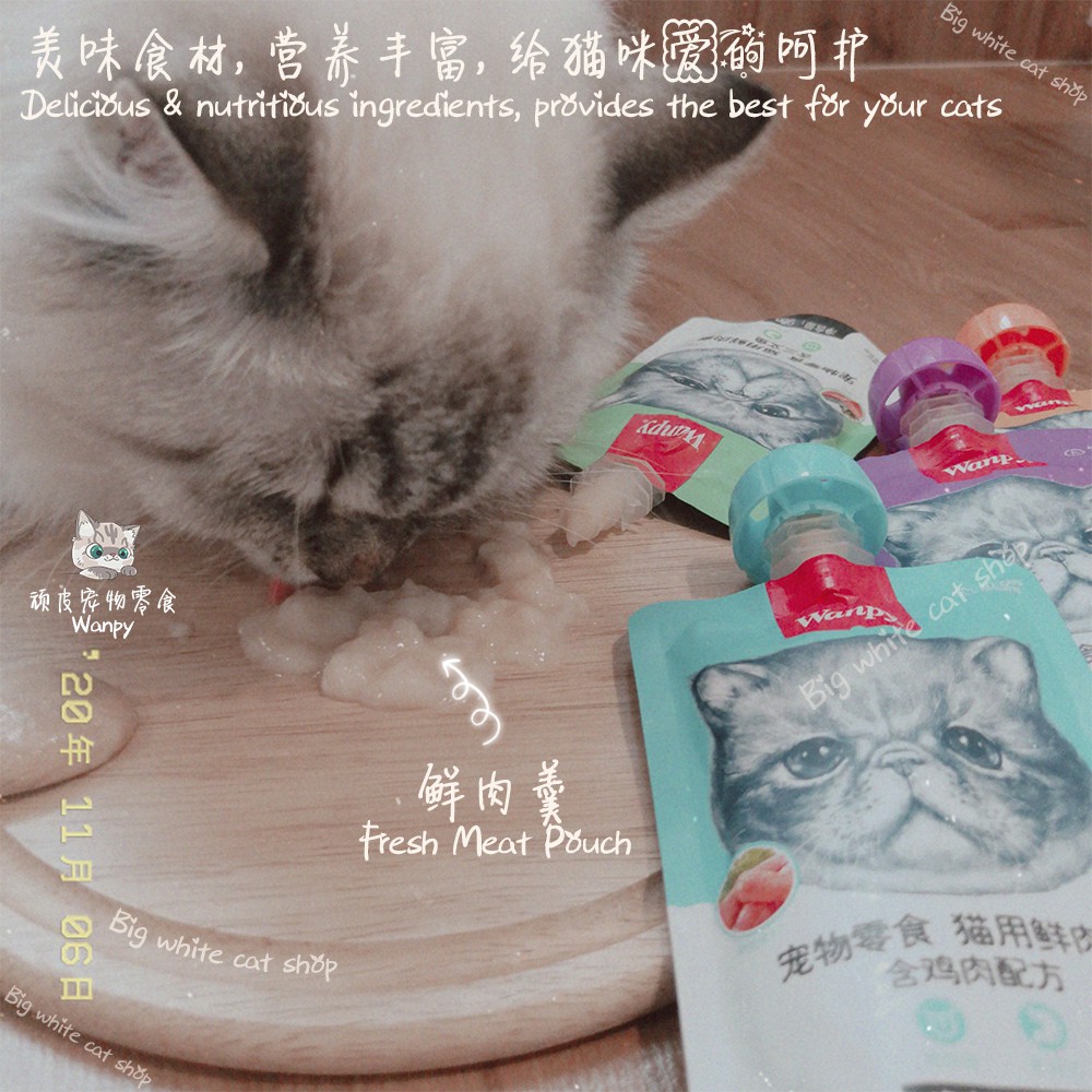 Wanpy Cat Pouch Meat Soup Creamy Melty Snacks Treats Wet Food 90g | 顽皮 ...