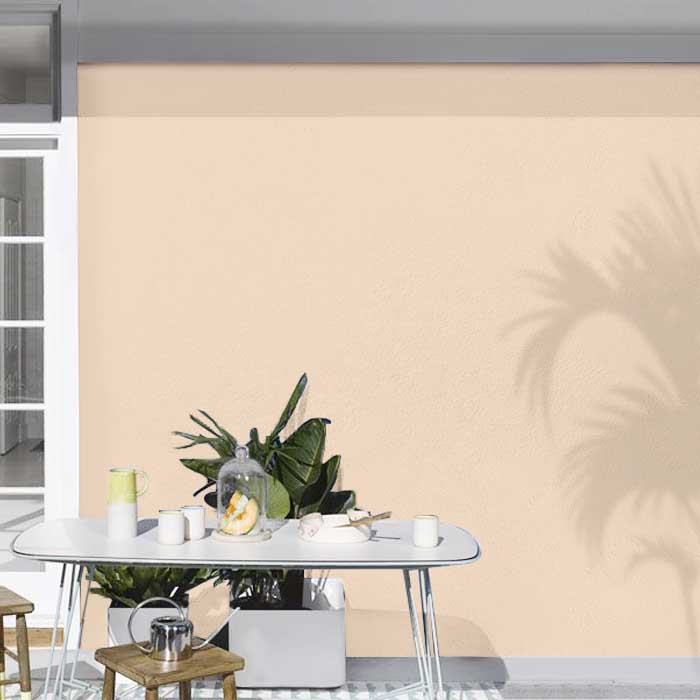 ( Orange & Oren ) 5L 8 Years Protection Exterior Wall Paint (Cat ...