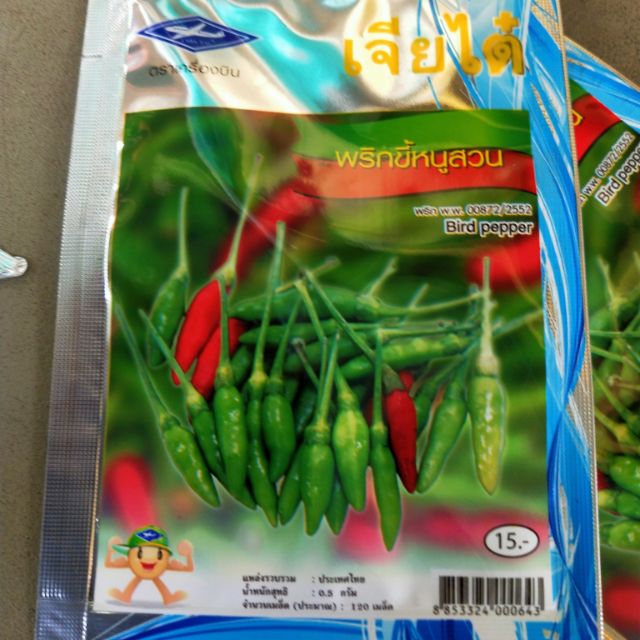 👨🏻‍🌾👩‍🌾🍅🌽🥒🥦 QUALITY Thai seed biji benih lada burung / bird pepper (120 ...