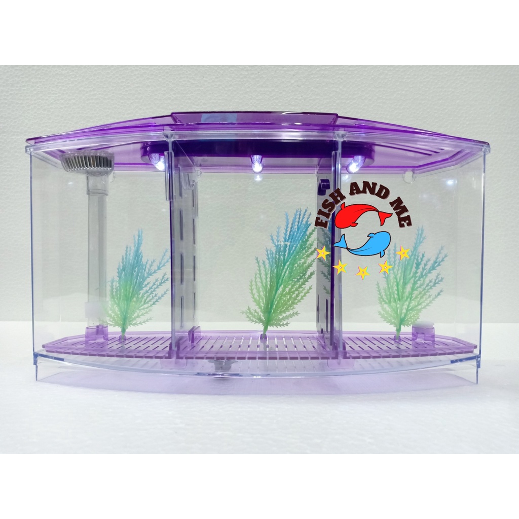VENYS Triple Betta tank(with led lamp) | Shopee Malaysia