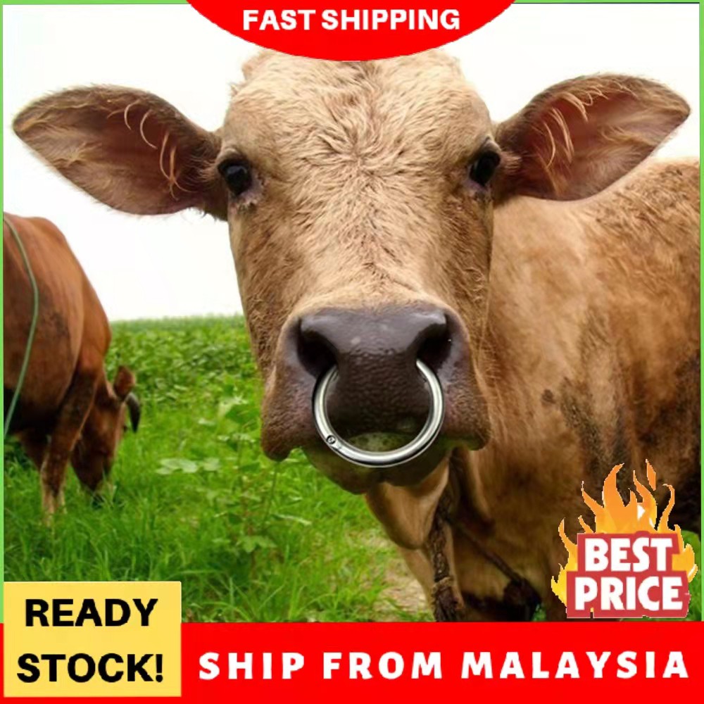 【M'Stock】1Pc Big Cattle Nose Ring Cattle Traction Ring Stainless Steel ...