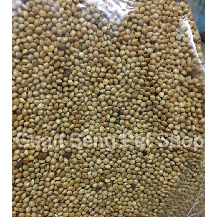 Sambau Campur 20kg Bird Feed Makanan Burung Merbok Terkukur Baji 20kg ...