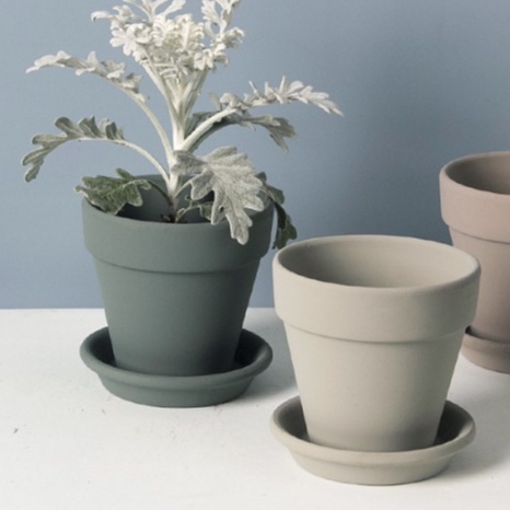 【Ready Stock】 Minimalist Succulent Pot with Tray/ Cactus Pot Set ...