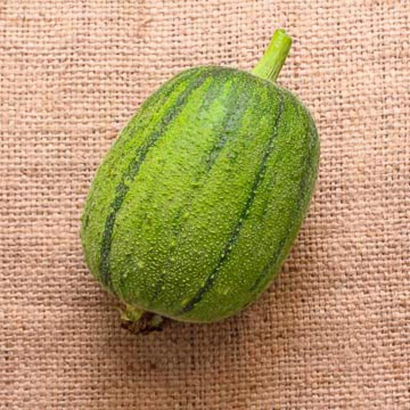 5 biji Taiwan Apple Luffa / Loofah 5 seed / 苹果丝瓜 / 黑金钢丝瓜种子5粒 | Shopee ...