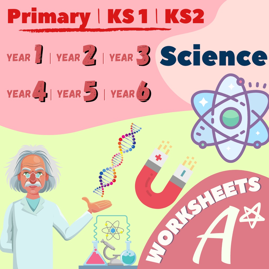2🟨 KS1 | KS2 Primary Science Worksheets With Answer | Year1 Year 2 Year ...