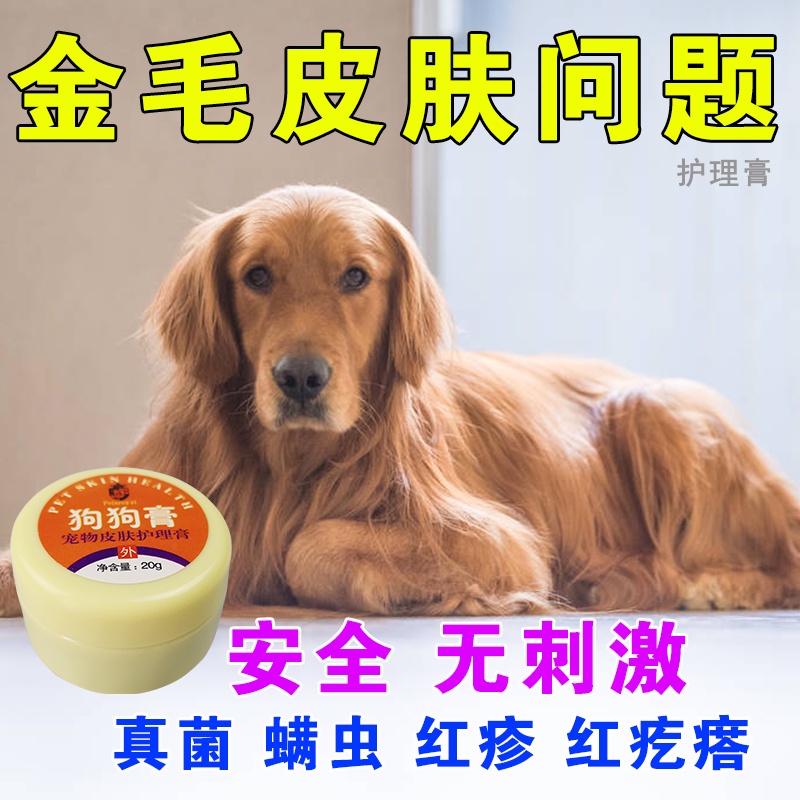 Dog Ointment For Dogs Ringworm Golden Hair Fungal Dermatitis Hair Loss ...