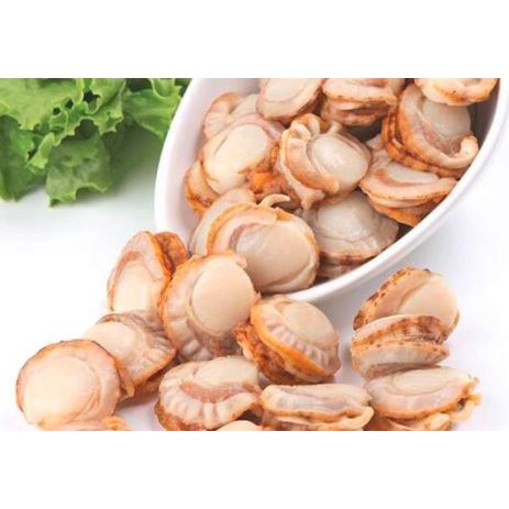 Hotate Scallop 60/80 - 1kg/pkt | Shopee Malaysia