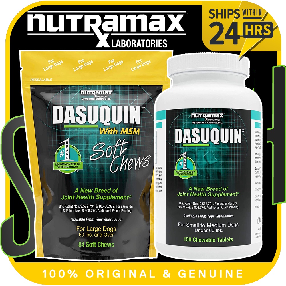 Nutramax Dasuquin S/M Dogs | 150 Chews / Dasuquin with MSM S/M Dogs ...