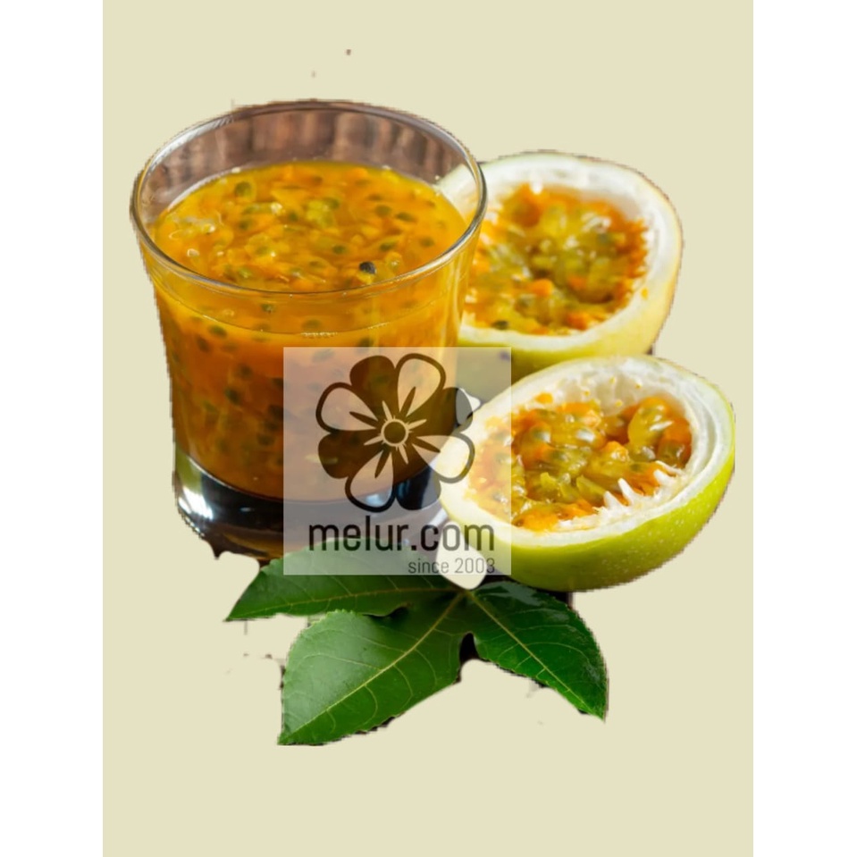 ANOR - Yellow passion Fruit Sapling / Anak pokok Markisa kuning anak ...