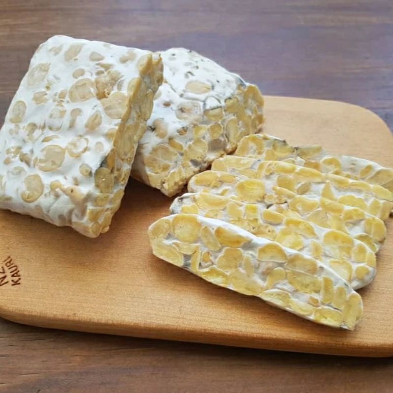 DRIED TEMPEH 天贝干 Tempeh Kering 200g | Shopee Malaysia