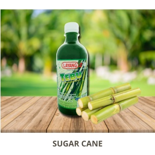 LAYANG2 FLAVORED CONCENTRATE#450ML | Shopee Malaysia
