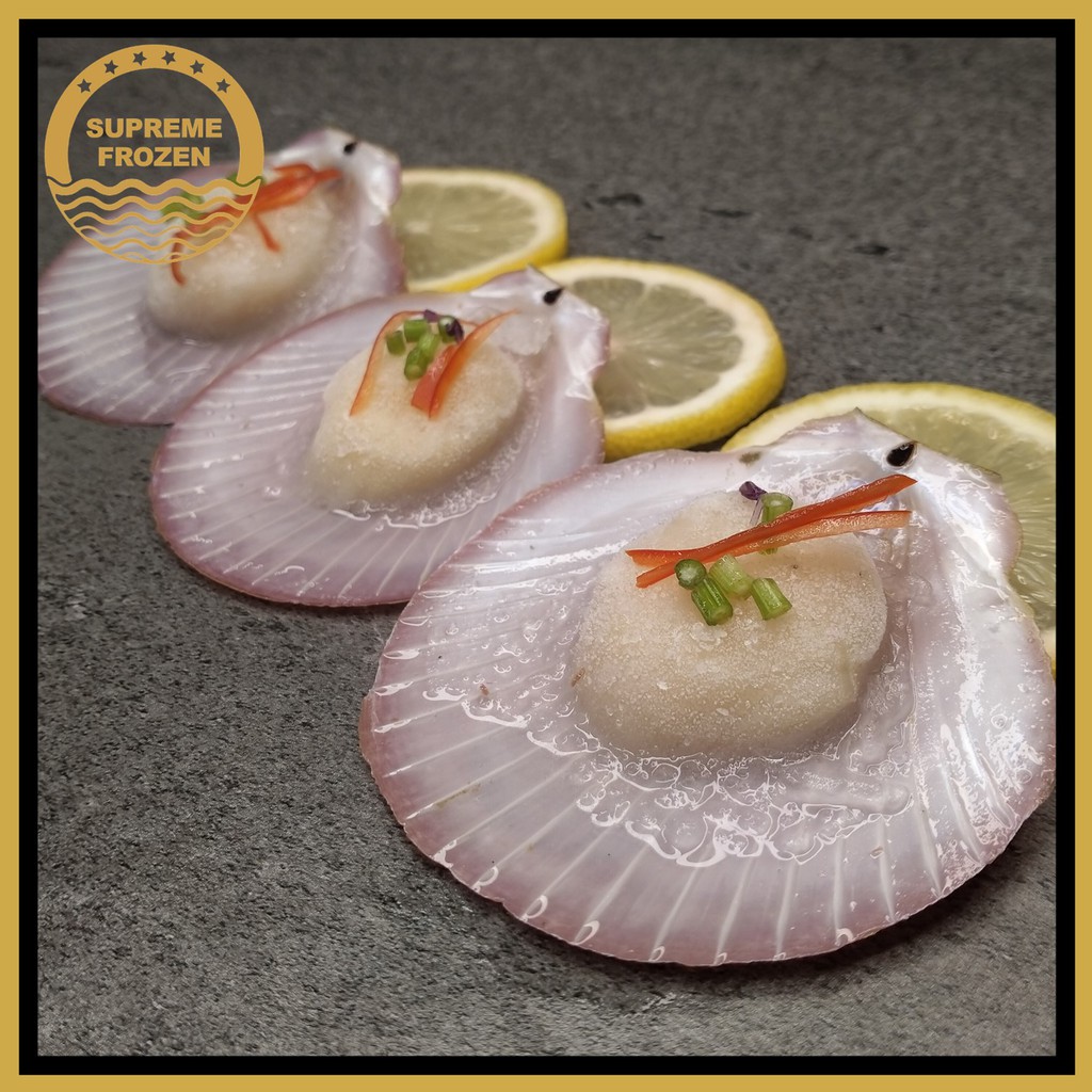 HALF SHELL SCALLOP (500G/PKT) | Shopee Malaysia