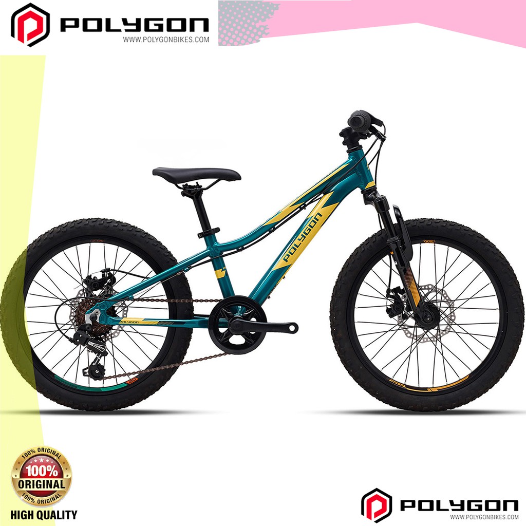 Polygon Relic 20 inch Kids Mountain Bike Suspension with gear | Shopee ...