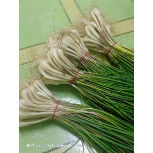 LOSUN BAWANG SABAHAN | Shopee Malaysia