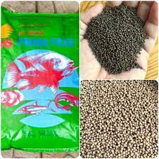 Pf 1000 High protein Floating Fish Pellet Catfish Feed, Tilapia ...