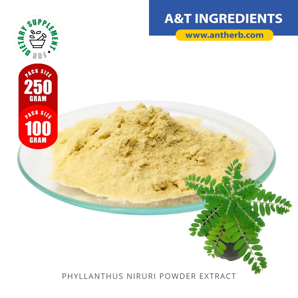 [100g/250g] Dukung Anak / Chanca Piedra / Bhumyamalaki / Phyllanthus ...