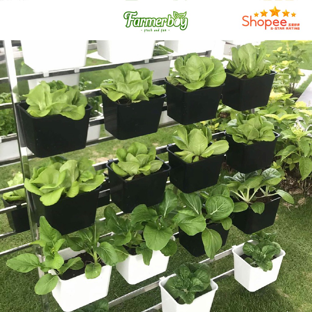 Vertical Square Hanging Pot / Pasu Gantung / Hanging Pots / Pasu Bunga ...