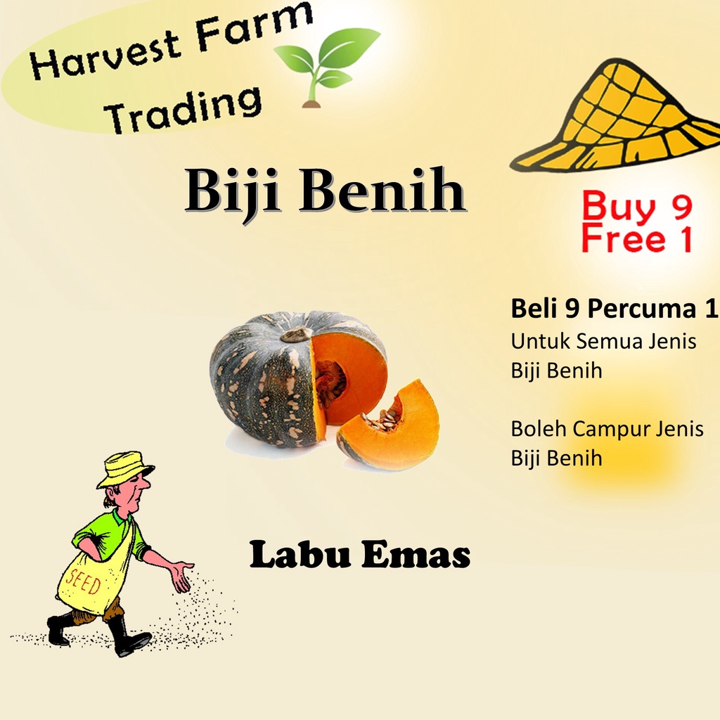 Biji Benih Labu Manis 5 Biji Vegetable Seed Pumpkin sweet Pumpkin 南瓜种子 ...
