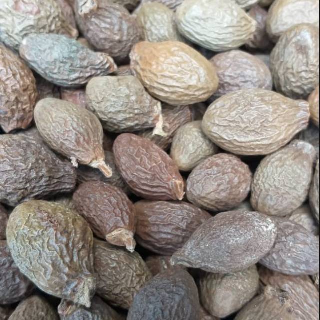Tempayang 100g | Shopee Malaysia