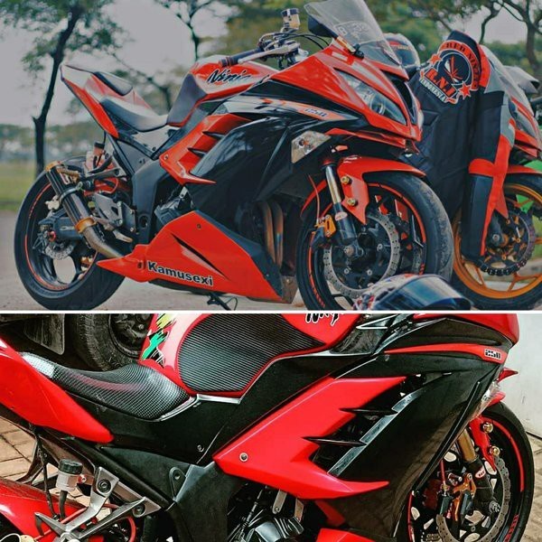 Ninja 250 FI FAIRING FAIRING Si FAIRING MODEL ZX636 - Red Bmt | Shopee ...
