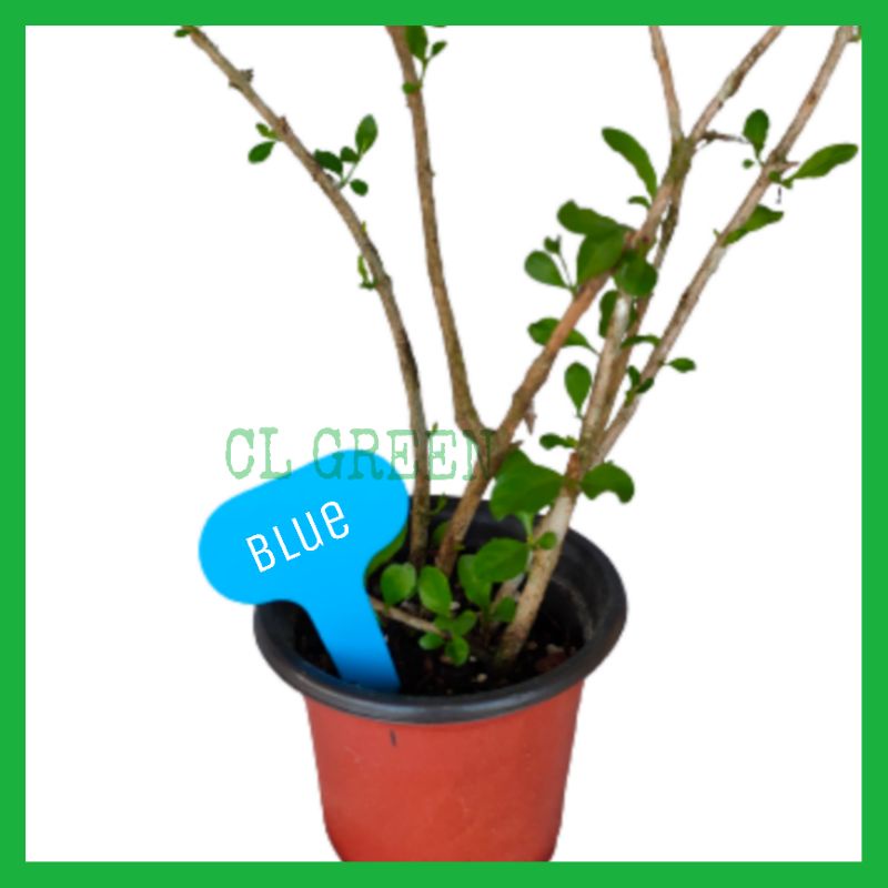 Plant Tags / Label Garden Flower Tag T-Type Nursery Label Plastic Label ...