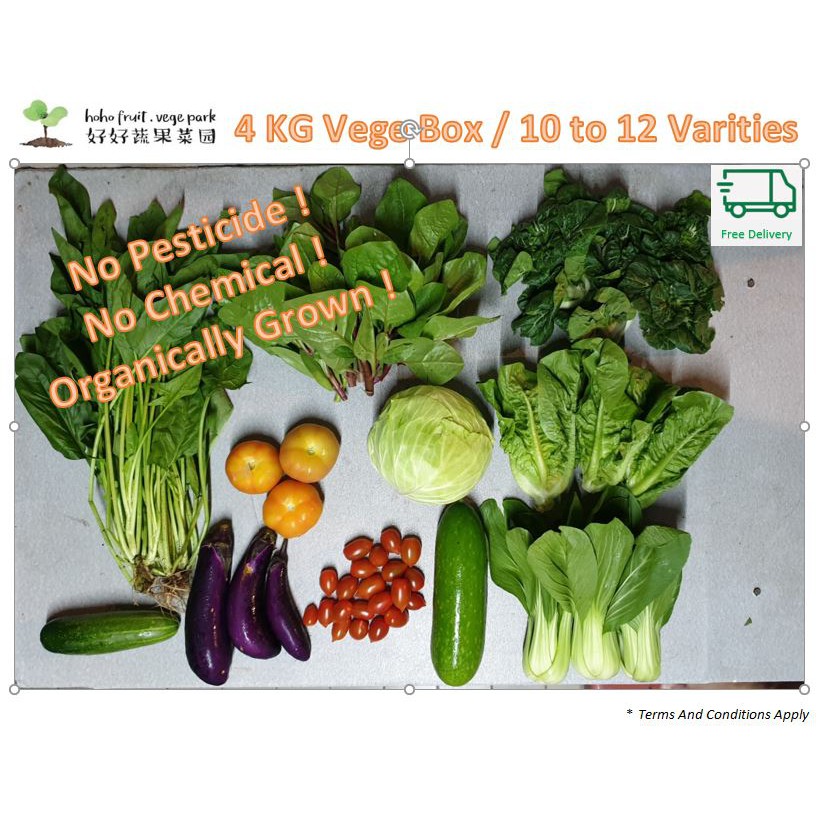 Organic Vege Box - 2KG / 4KG | Shopee Malaysia