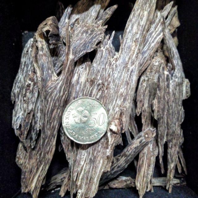 5g Wild Malaysia Gaharu Agarwood Bakhoor Kayu Oud Bukhoor 沉香 Incense ...