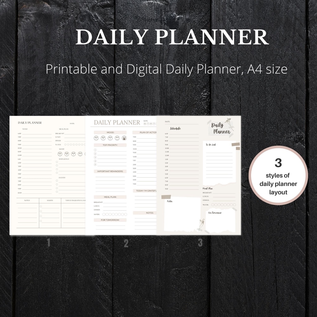 Professional Daily Planner, Printable PDF and Digital Planner, A4 size ...