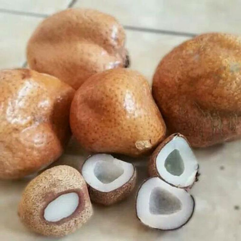 Buah Zuriat Asli / DUM/ IKHTIAR HAMIL / ARAB BUAH ZURIAT ORIGINAL ...