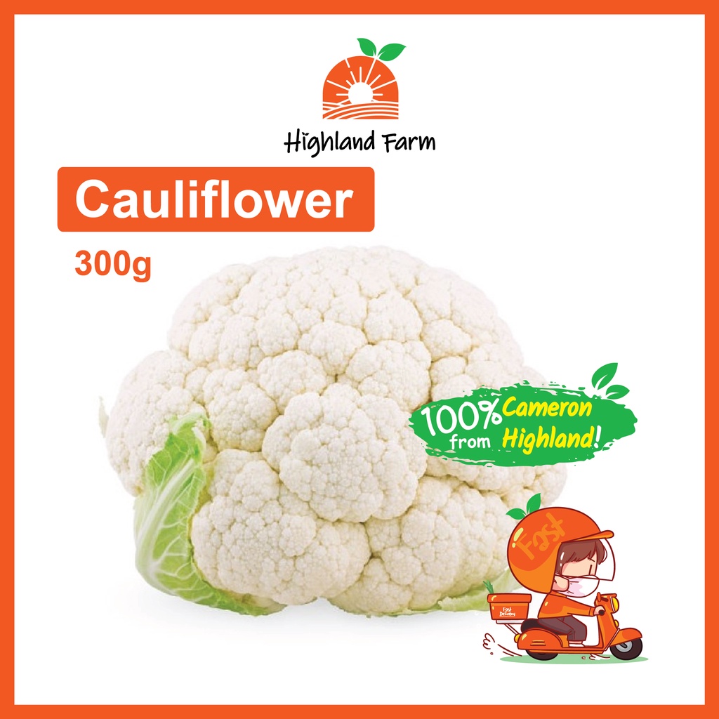Cauliflower / Bunga Kobis / 白菜花 300g Daily Fresh Pick Vegetable from ...