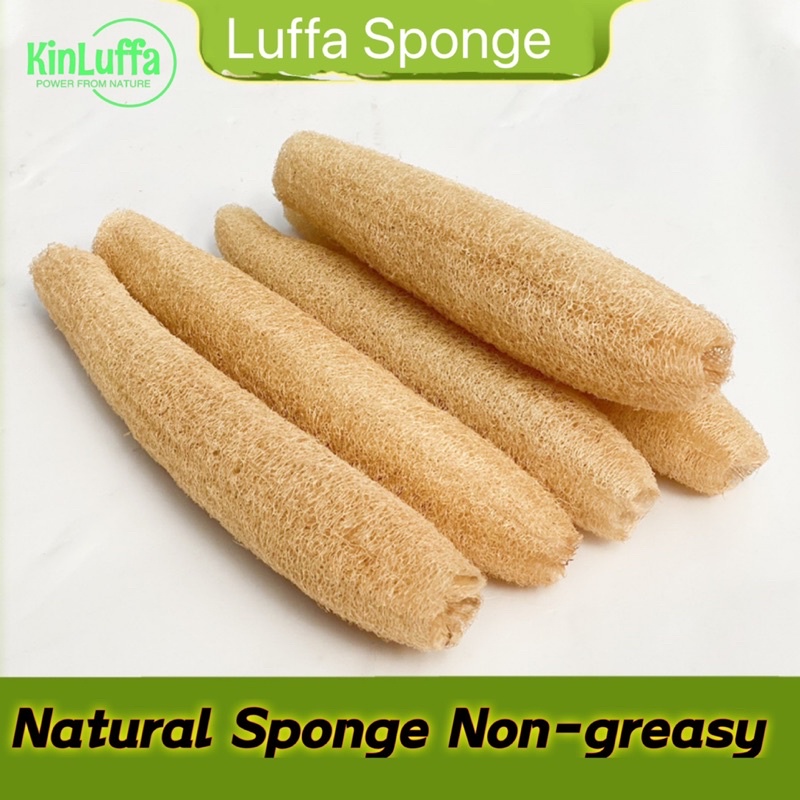 kinLuffa 100% Biodegradable Organic Loofah Bathing Sponge | Shopee Malaysia