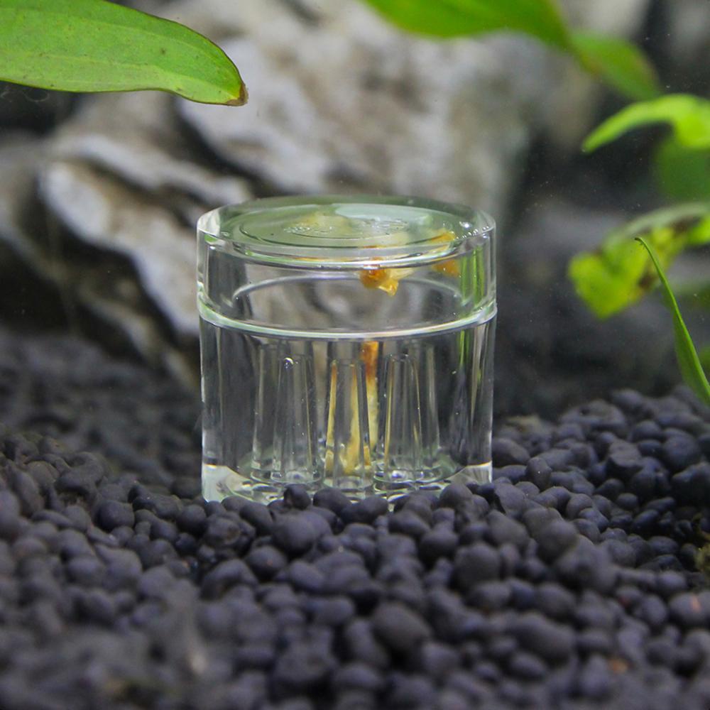 [Local Stock] BSFH Planaria Worm Trap Acrylic Shrimp Aquarium ...