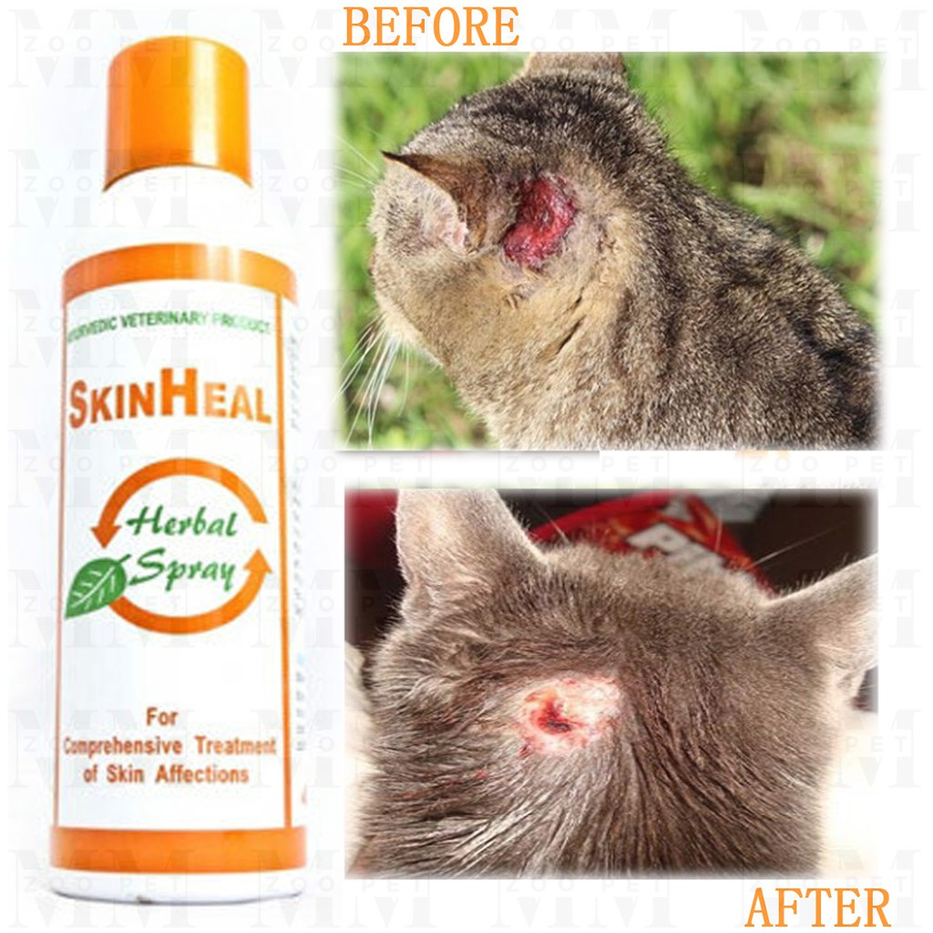 🔥Ready Stock🔥Skinheal Herbal Spray for Injury & Skin Problems ubat ...