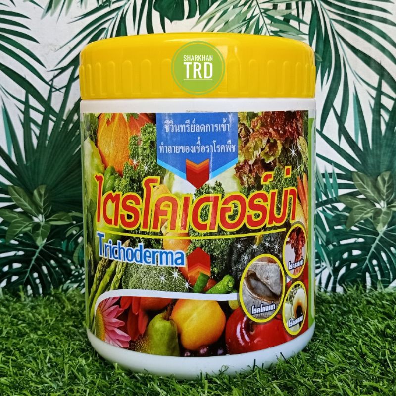1kg TRICHODERMA Thailand Organic Bio Durian Limau Getah Cili Timun ...