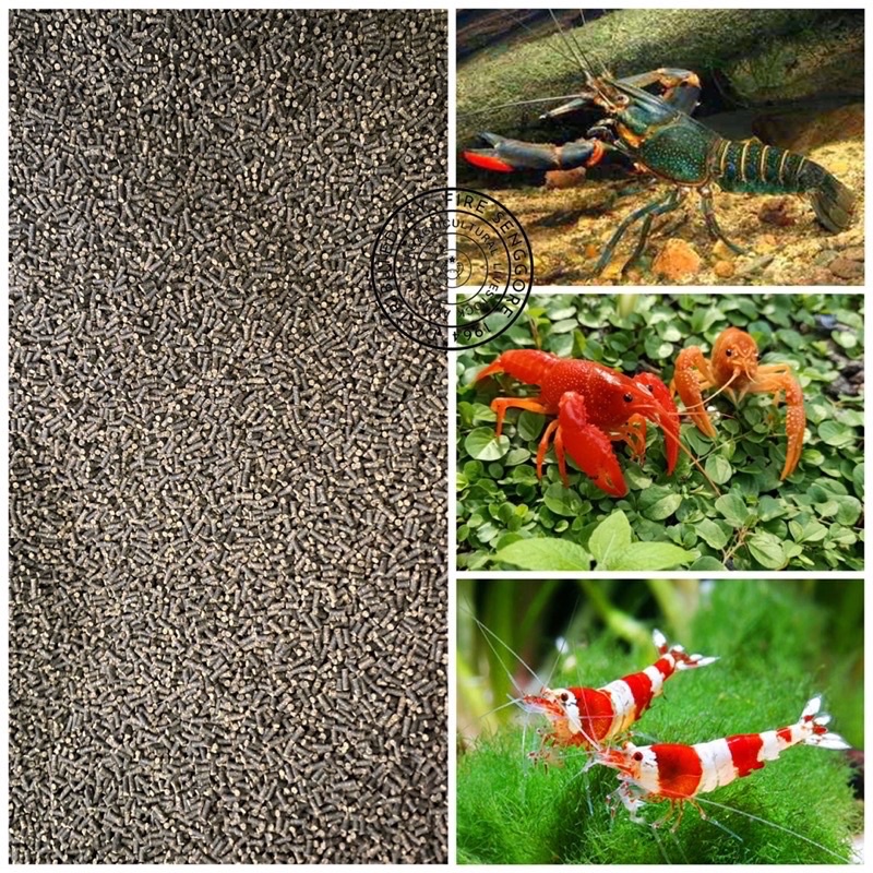 [500g-1 Kg] Pallet Udang untuk Benih dan Induk/Dedak Udang/Udang Hiasan ...