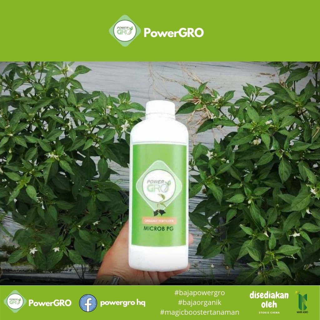 BAJA ORGANIK POWERGRO 1 LITER UNTUK SEMUA JENIS TANAMAN DARI SEMAIAN ...