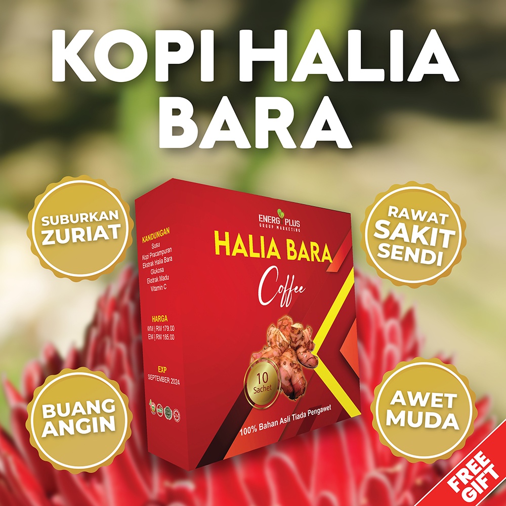 Halia Bara, Halia Bara Merah, Kopi Halia Bara Minuman Kesihatan(angin ...