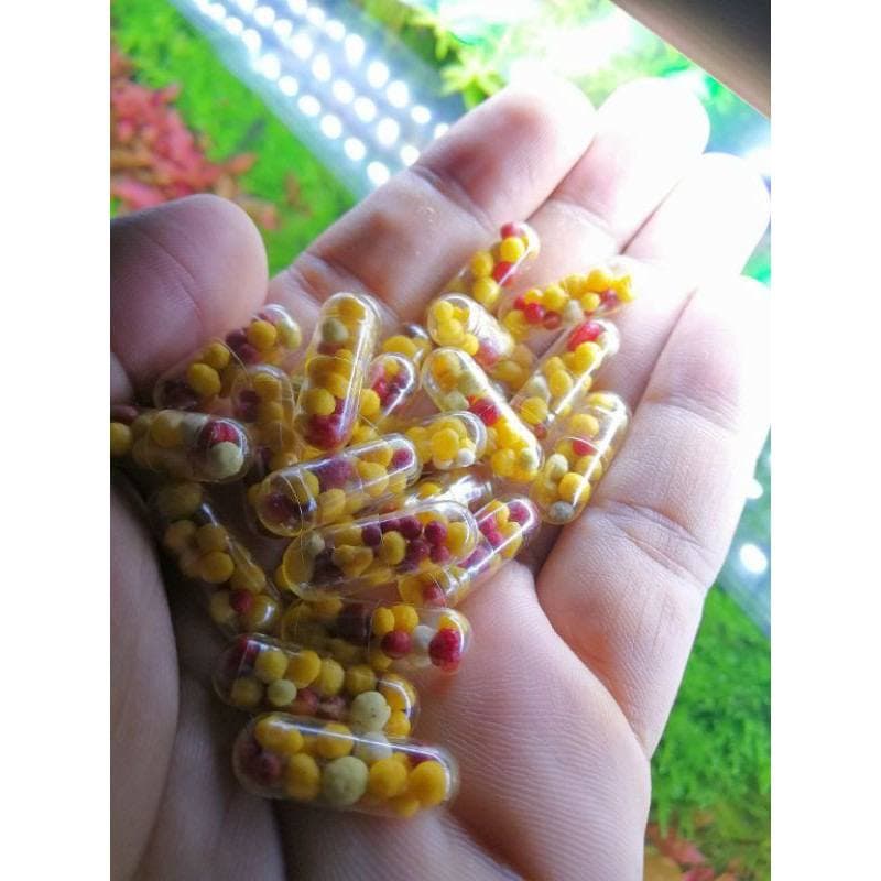 AQUARIUM Root Tab Fertiliser @ Soil Nutrient Booster @ Baja Akar dan ...