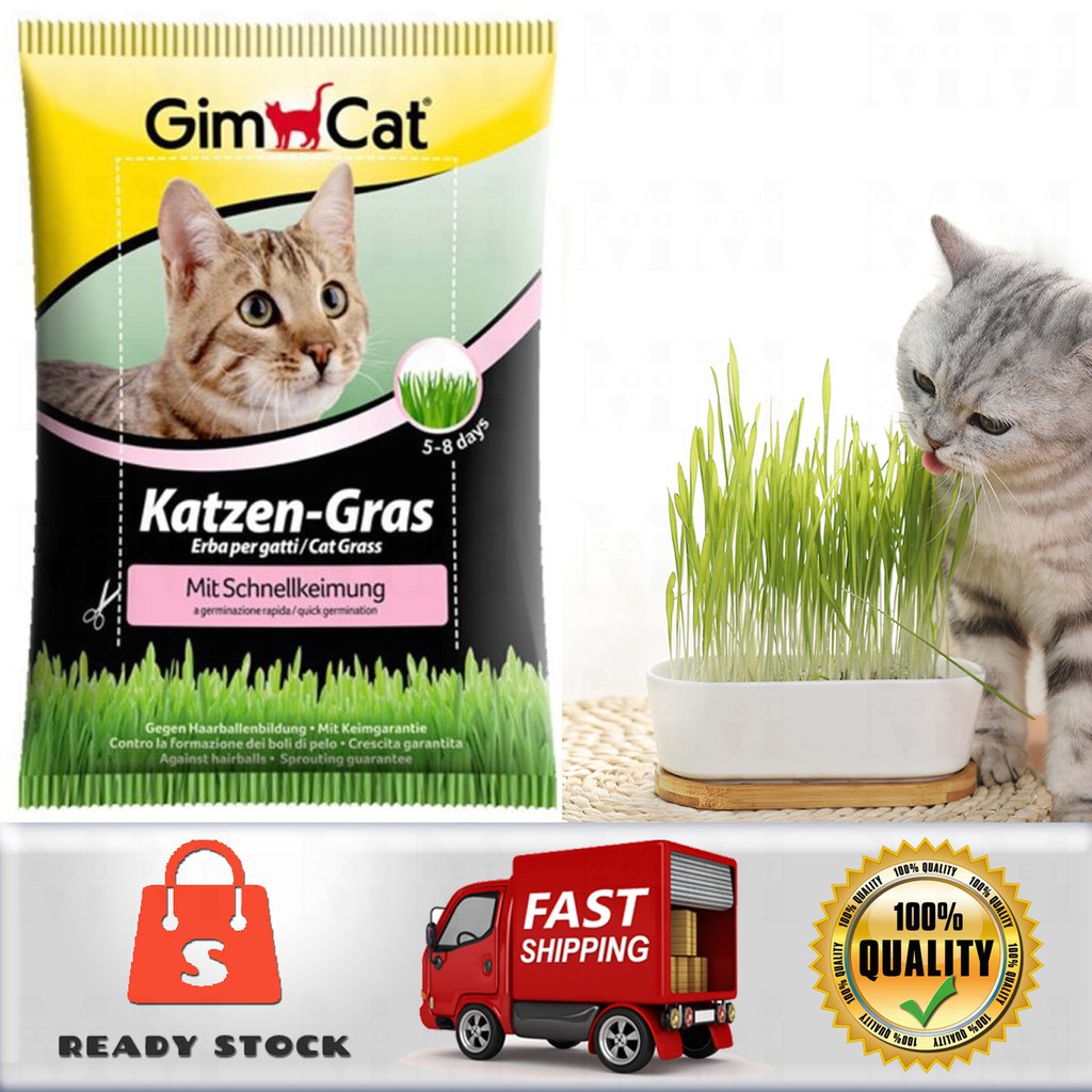 GIM CAT Katzen-Grass Cat Grass 100g Per pack | Shopee Malaysia