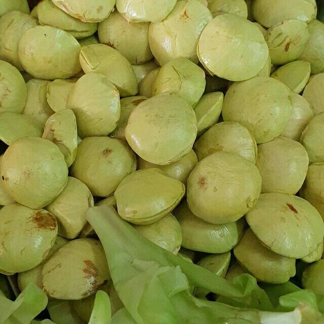BUAH JERING FRESH 500G | Shopee Malaysia