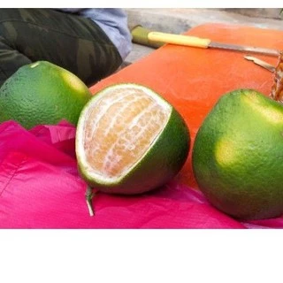 Buy limau Online With Best Price, Jul 2024 | Shopee Malaysia