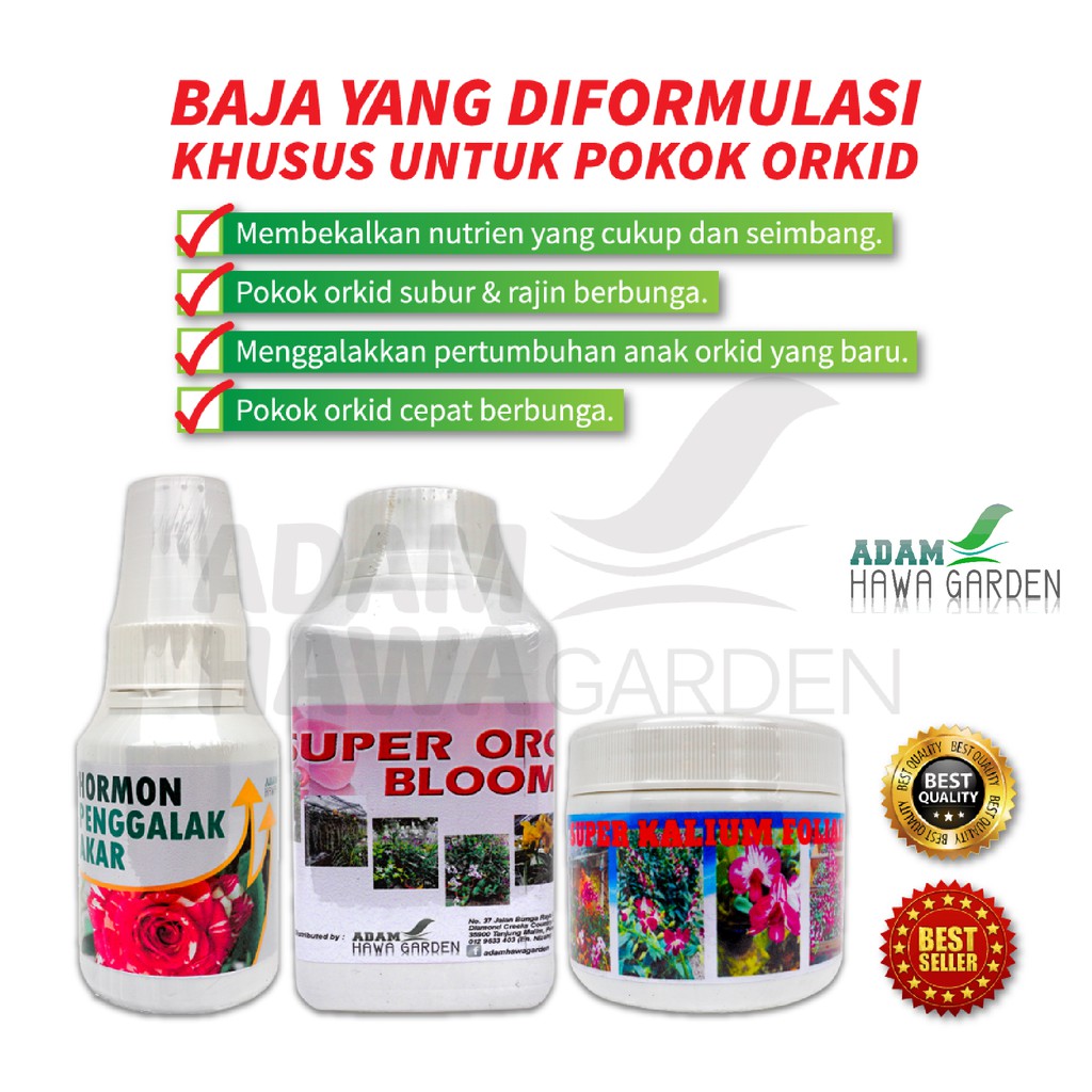 SET BAJA ORKID RAJIN BERBUNGA (SUPER ORCHID BLOOM + PENGGALAK AKAR ...