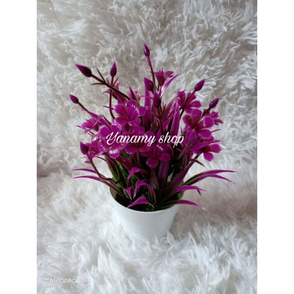 🔥FAST SELLING‼️BUNGA HIASAN MEJA SIAP PASU/FLOWER GIFTS WITH POT🌹🌼🌷 ...